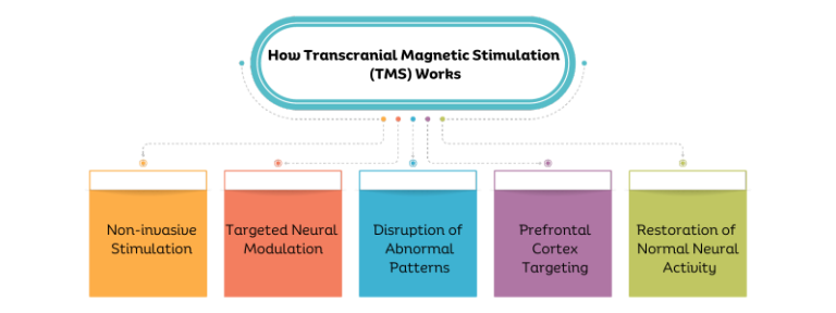 TMS for Migraines: A Comprehensive Guide to TMS Benefits
